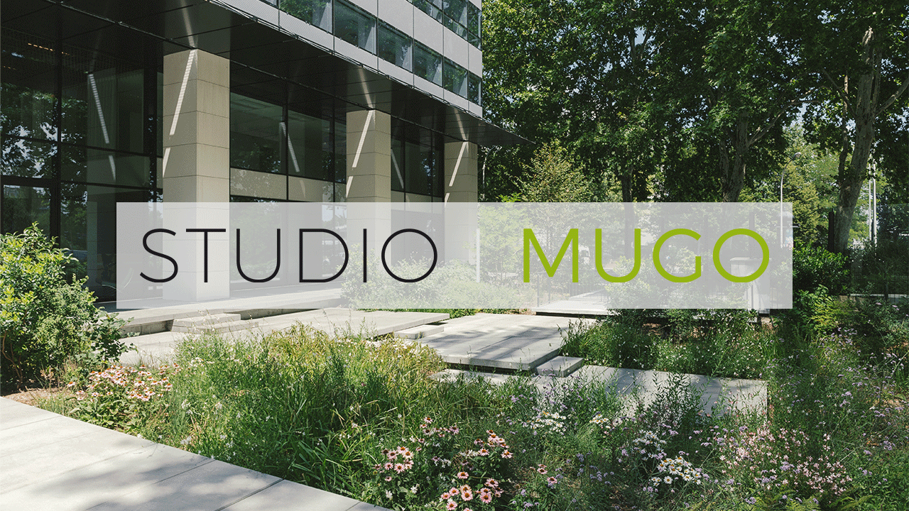 La vidéo de présentation de STUDIO MUGO est dévoilée ! - Mugo